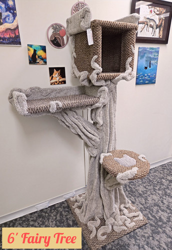 In Stock - Come get it now! | Lucky Kitten Place