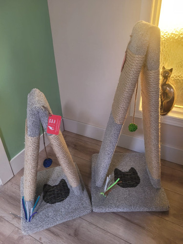 Mountain Scratch - 2 or 3 Feet Tall | Lucky Kitten Place