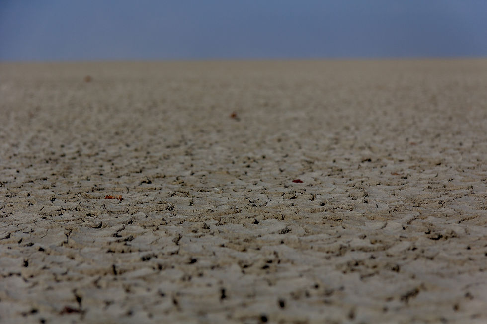 Your Ultimate Guide To Travelling Botswana