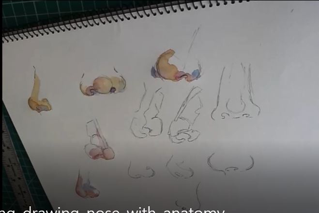 Painting And Drawing The Nose With Anatomy
