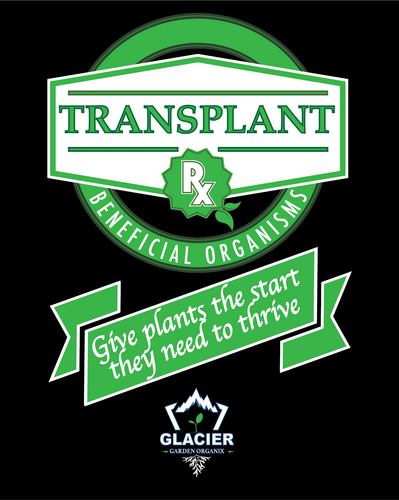Transplant Rx - 16oz | Glacier Garden