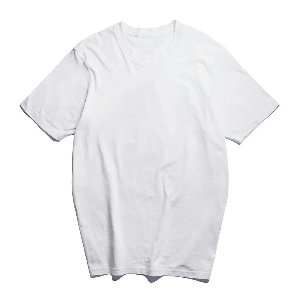 TEST WHITE SHIRT V2 | Ghost Trip site