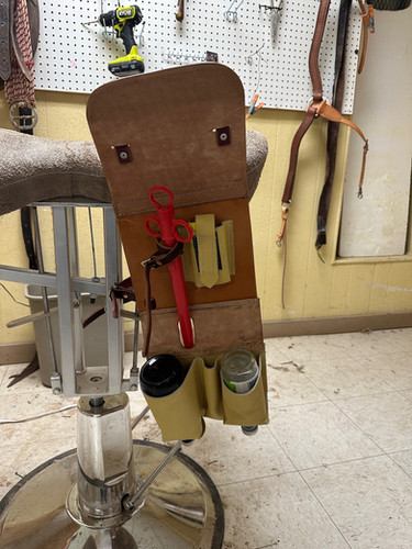 Saddle doctoring bags | Rafter E Custom Leather