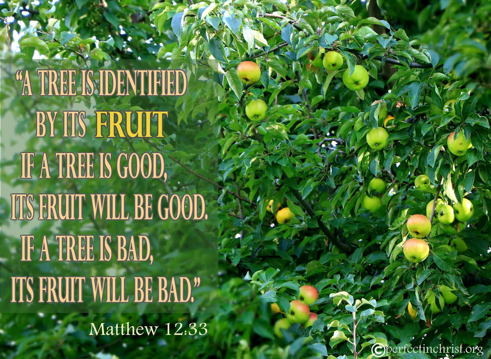 A TREE THAT BEARS GOOD FRUIT A TREE THAT BEARS GOOD FRUIT