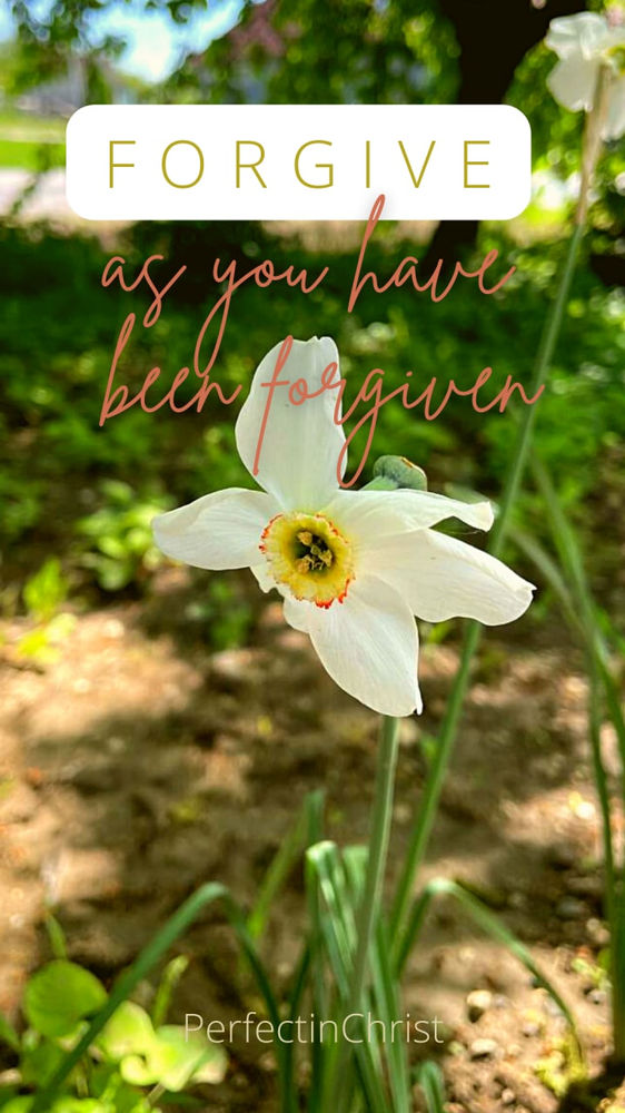 FORGIVE AS YOU HAVE BEEN FORGIVEN