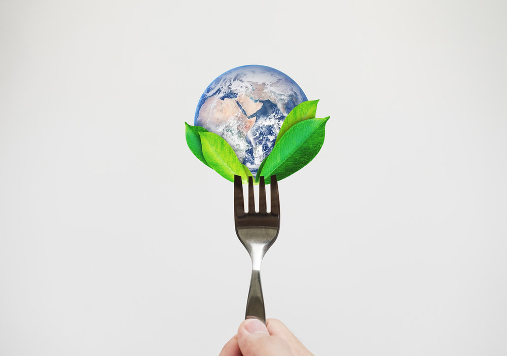 3 Ways Our Diet is Contributing to Climate ChangewellnessworkdaysNutrition