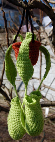 Pitcher Plant Crochet Pattern | Gothic Decay