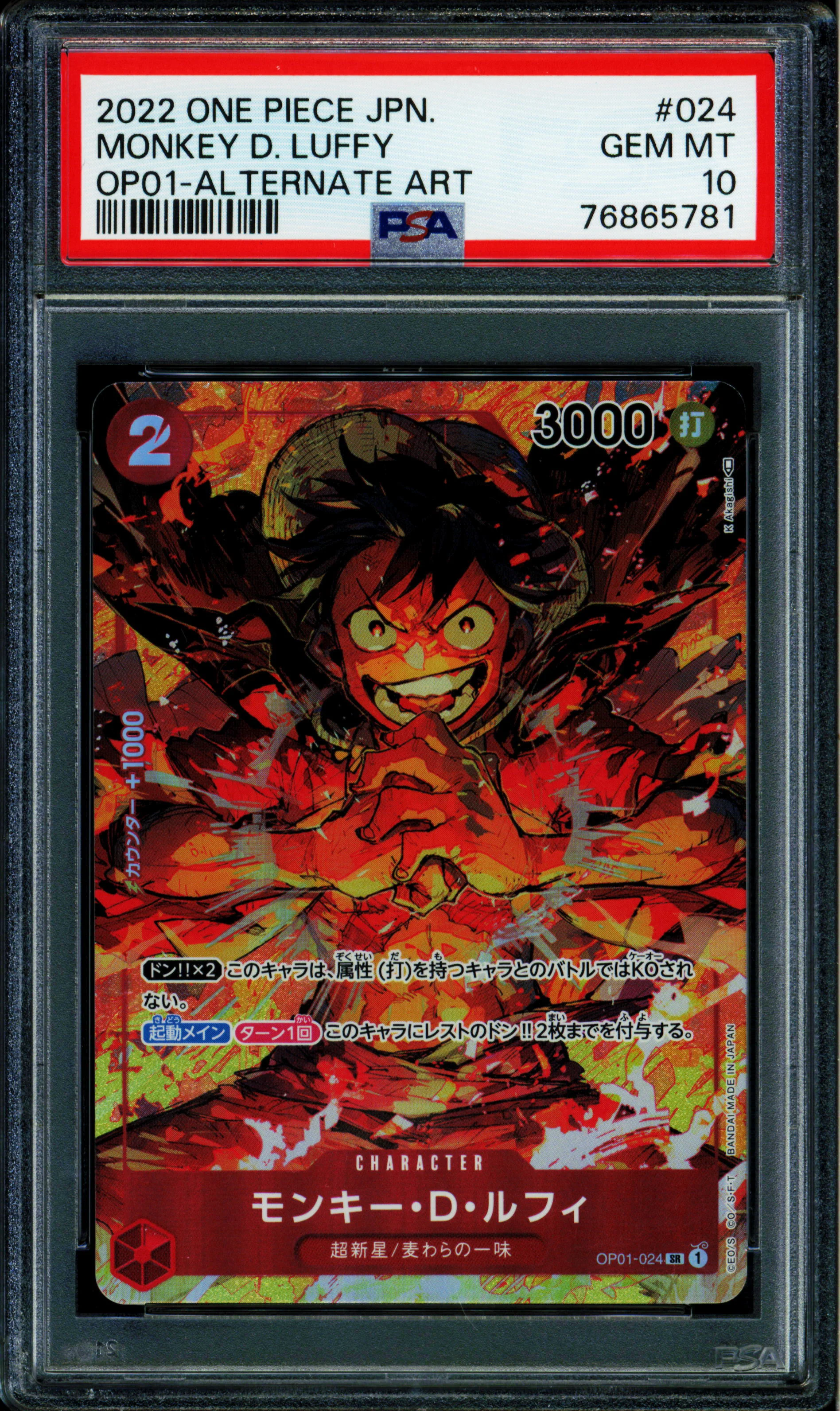 SlabTracker | Sappy's Sports Cards