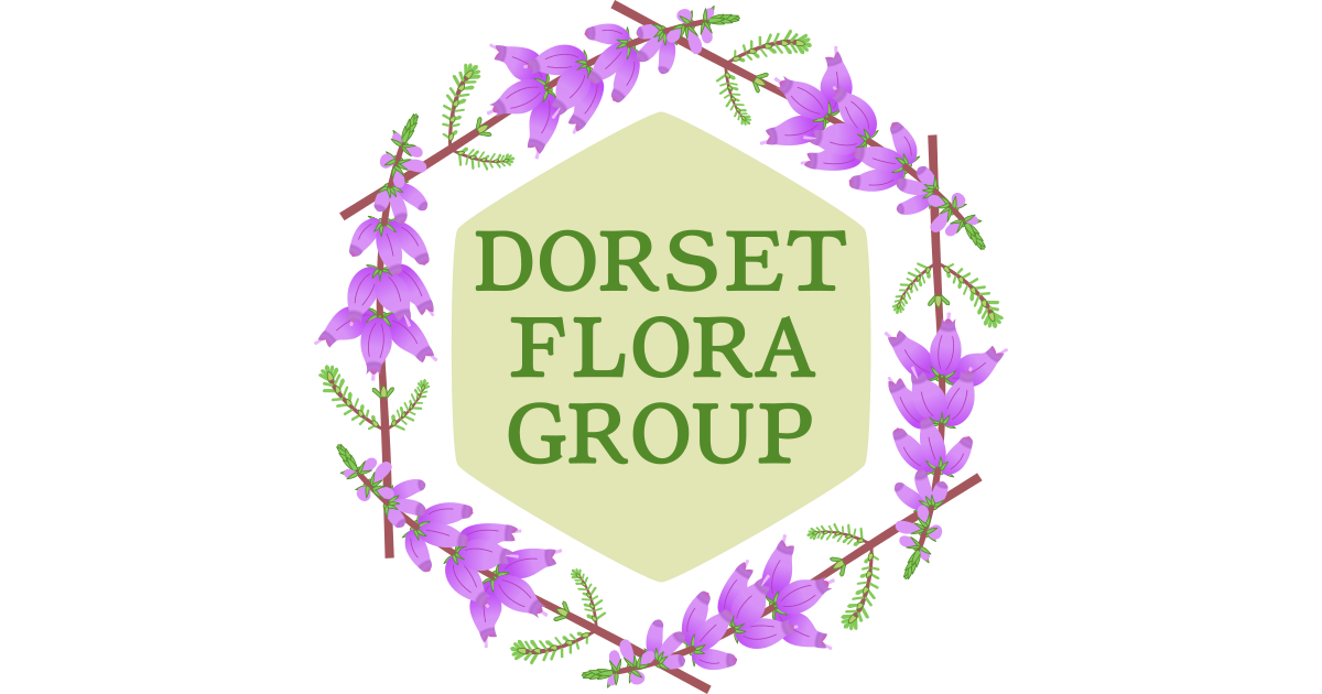 Dorset Flora Group | The Dorset Heath Blog