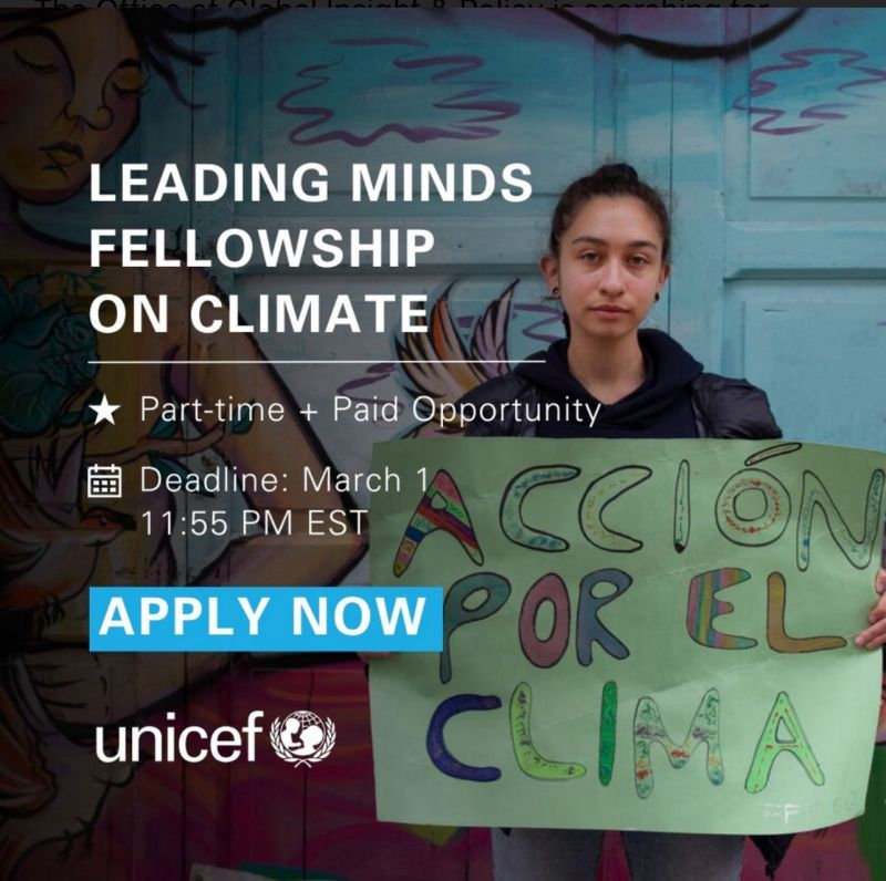UNICEF Leading Minds Fellowship on Climate