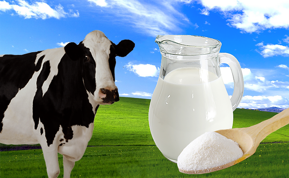 How Milk Effects The Coffee Experience