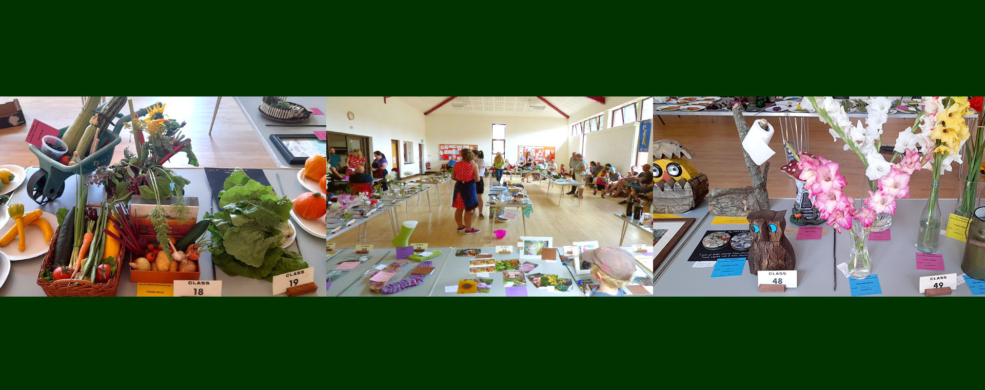 ALLOTMENT ANNUAL SHOW PHOTOS | St. Thomas Allotments Association Exeter