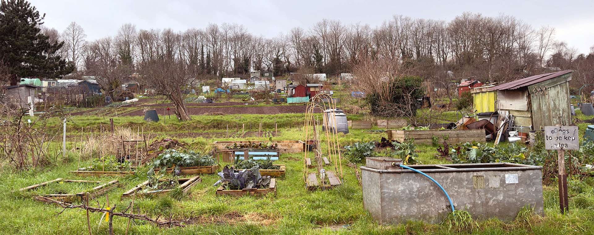COWICK LANE ALLOTMENTS | St. Thomas Allotments Association Exeter