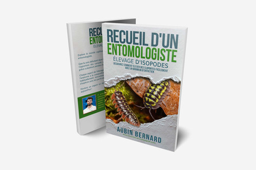 Recueil d'un Entomologiste - Elevage d'Isopodes | Isopods mania