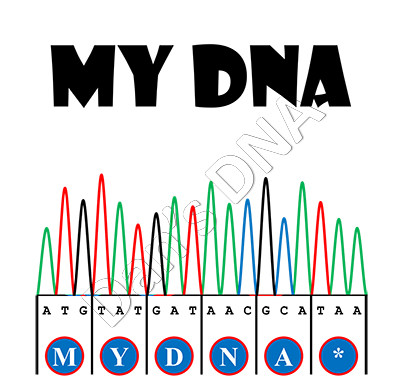 My DNA | Dansdna