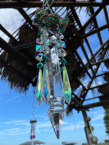 Teal Barnacle 5 | Dazzling Driftwood