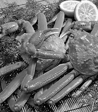 Seafood Processing Equipment St. John’s | Home | C & W Industrial ...