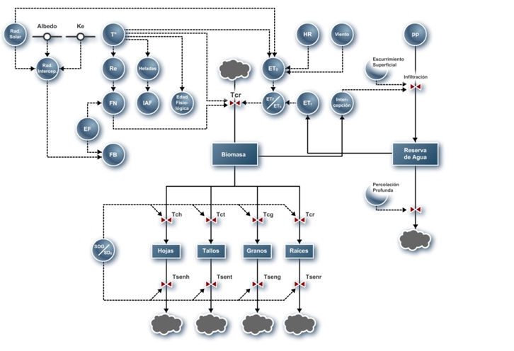Simproc Model | vacea