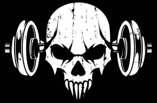 True North Tactical Fitness | Purpose-Driven Training for Life, Health ...