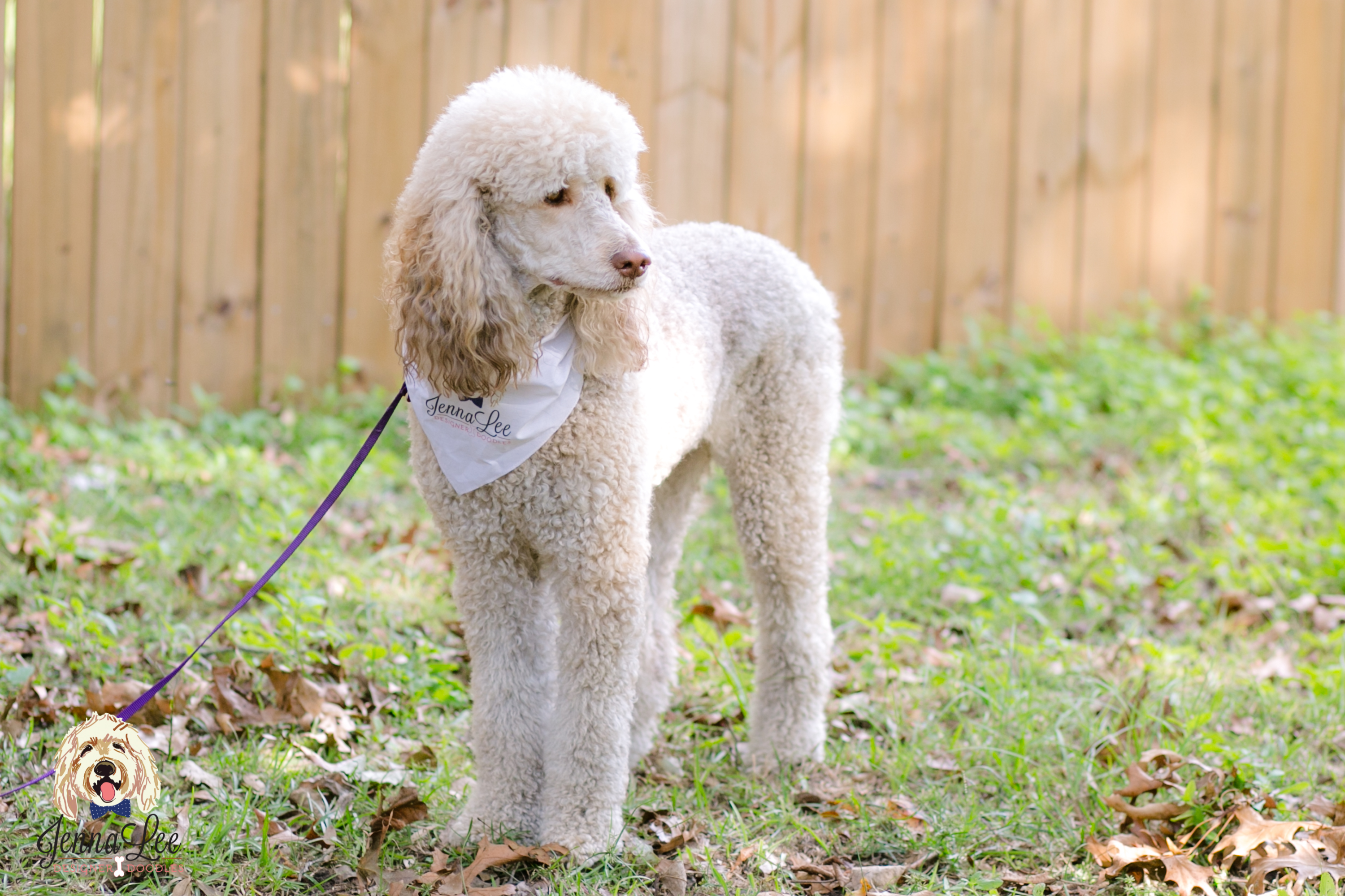 Our Ladies | CoCo | JennaLee Designer Doodles