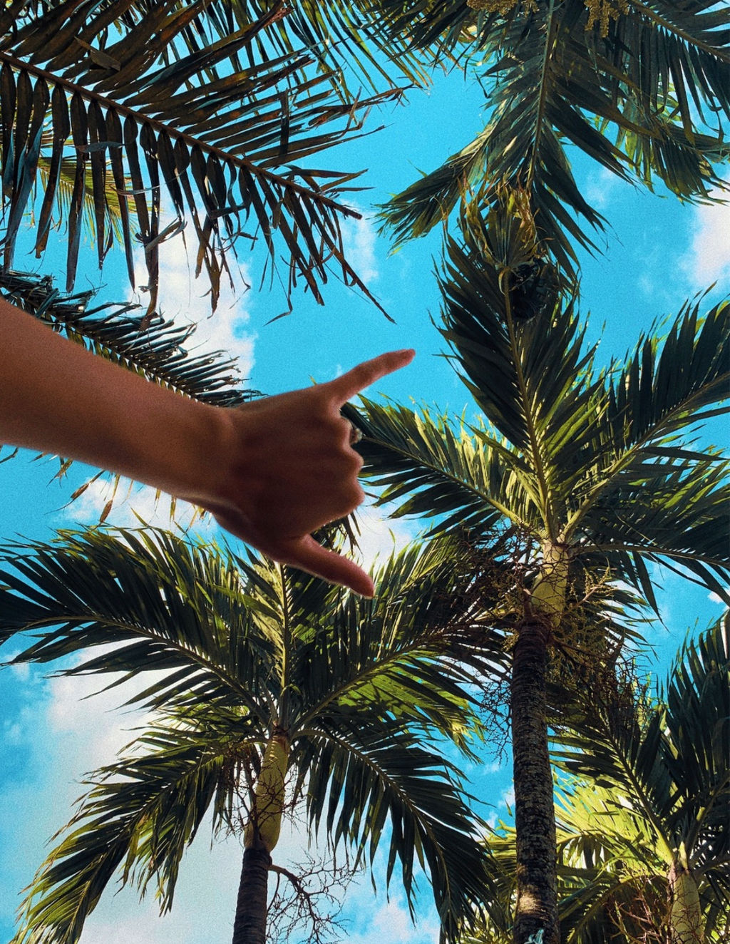 Home | Haydens Style