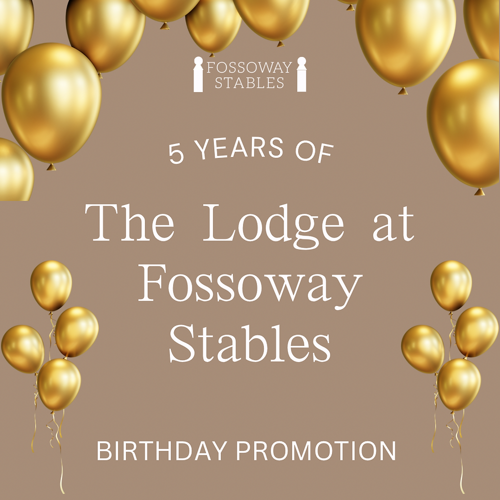 5 Years of The Lodge at Fossoway Stables