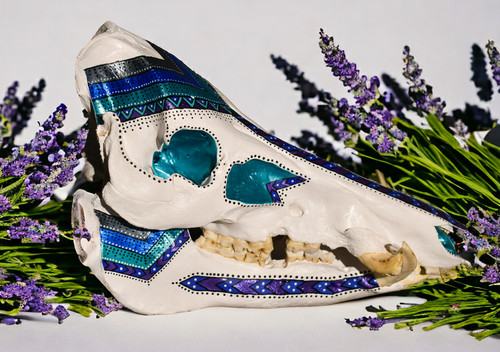 Hand Painted Wild Boar Skull | PheeTopia