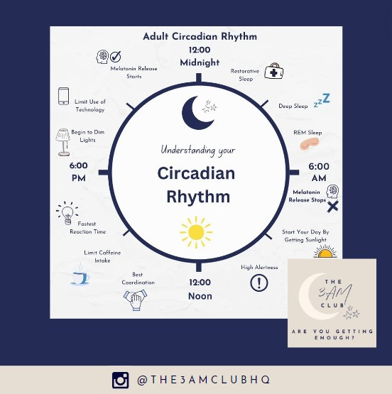 Understanding the Circadian Rhythm: The Key to Healthy Sleep for ...