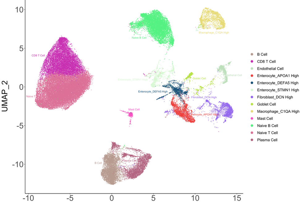 scRNA-Seq - Small Intestine Terminal lleum