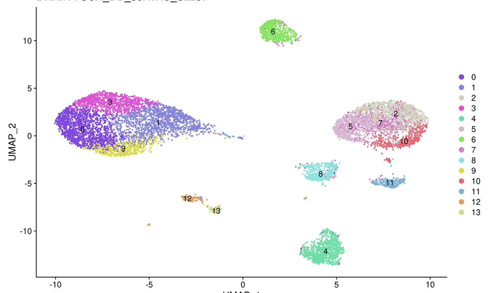 scATAC - Cortex Frontal Cortex BA9