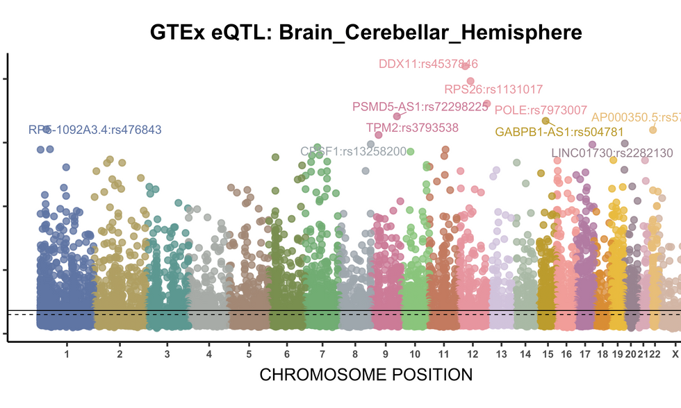 RNA-Seq - Cerebellum Cerebellar Hemisphere