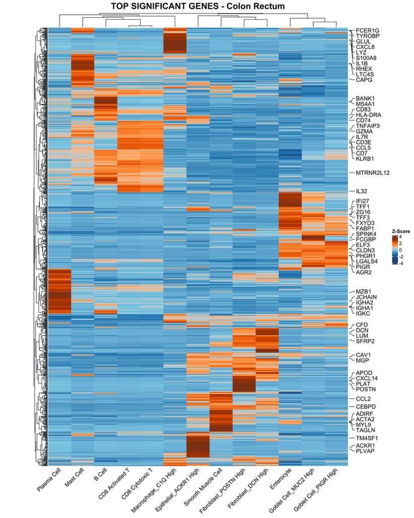 scRNA-Seq - Colon Transverse