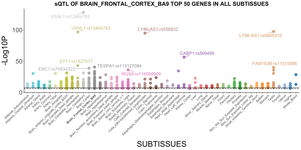 RNA-Seq - Cortex Frontal Cortex BA9
