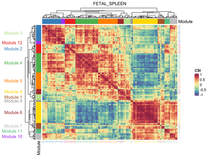 scRNA-Seq - Spleen