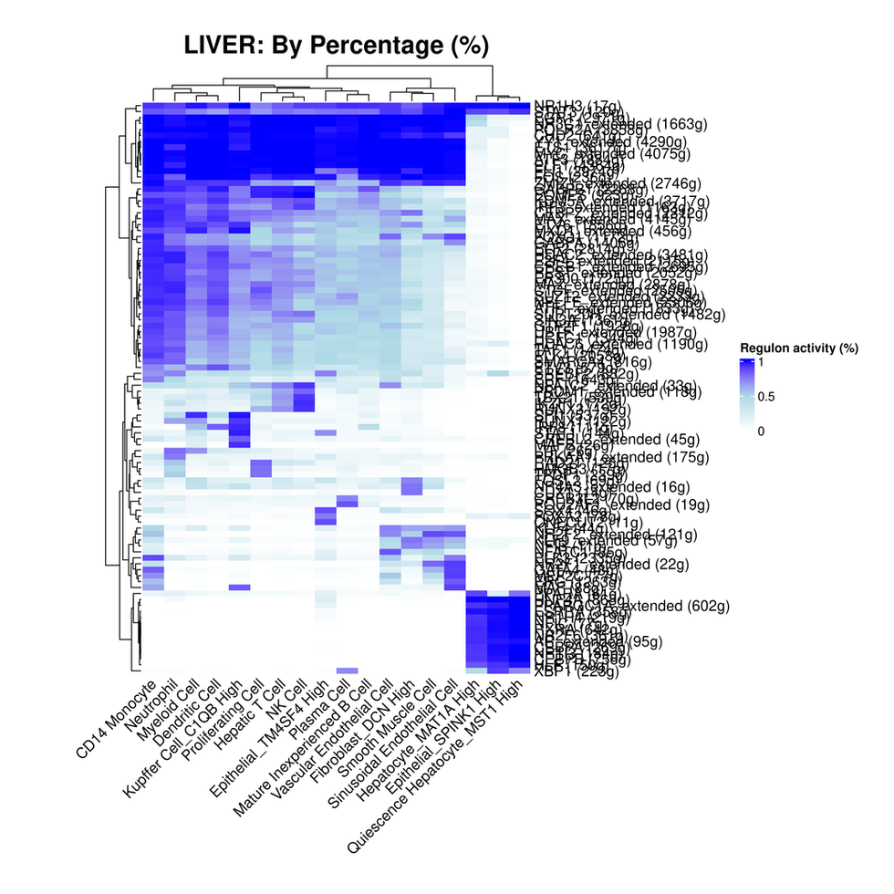 scRNA-Seq - Liver