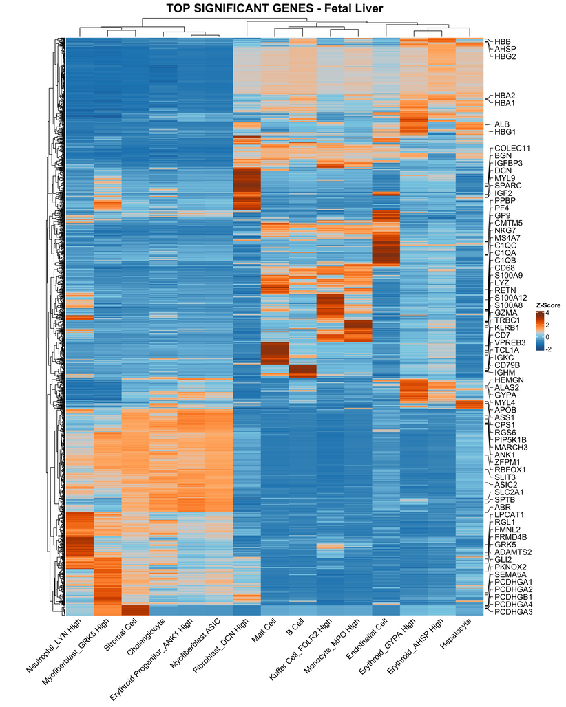 scRNA-Seq - Liver