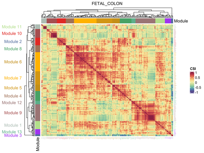 scRNA-Seq - Colon