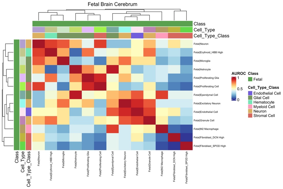 scRNA-Seq - Spinal Cord