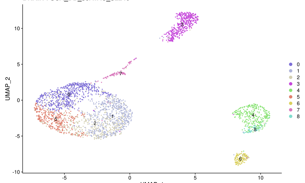 scATAC - Cortex Frontal Cortex BA9