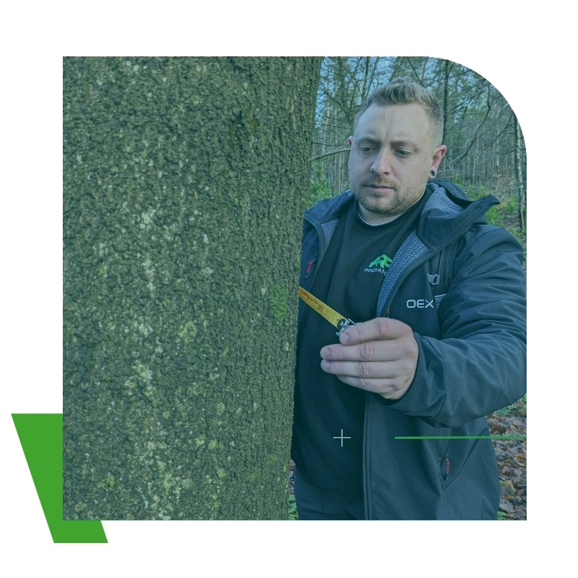 ARB Innovators Tree Consultants | Tree Surveys and Reports From £180