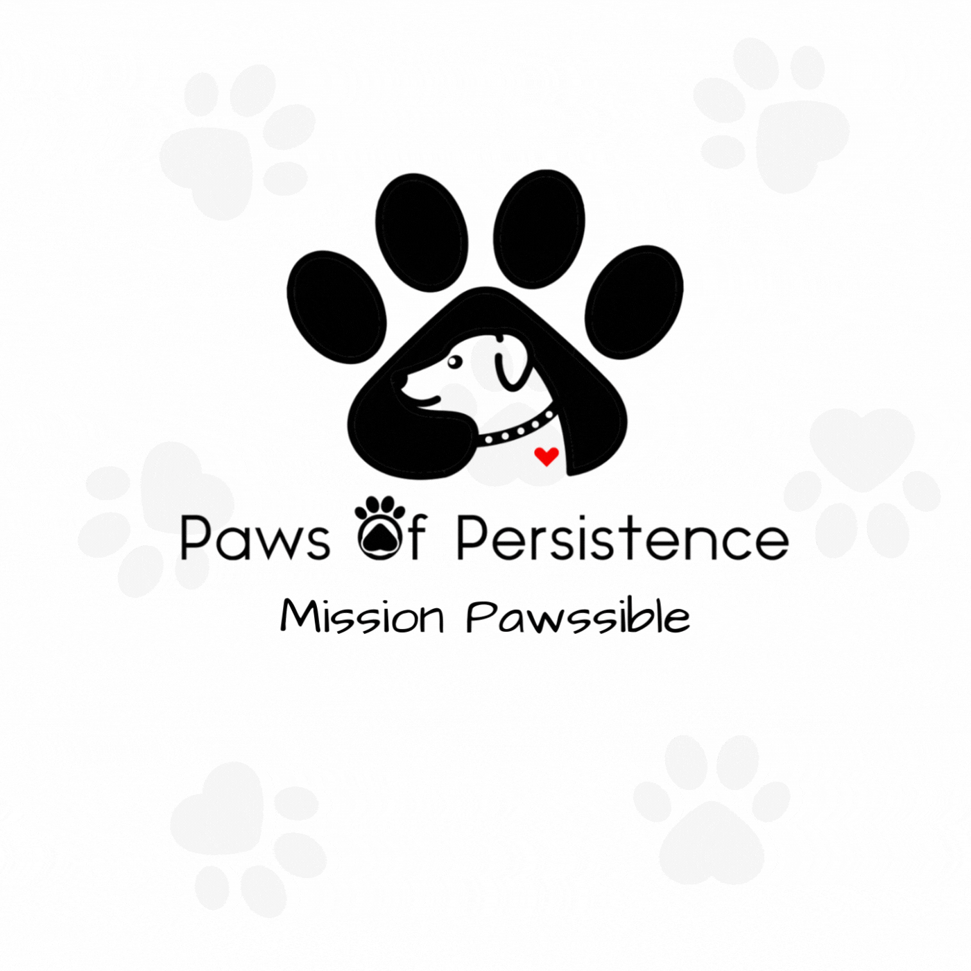 Paws of persistence | dog trainer in bengaluru | Bengaluru, Karnataka ...