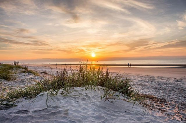 Beaches | 1146 Properties