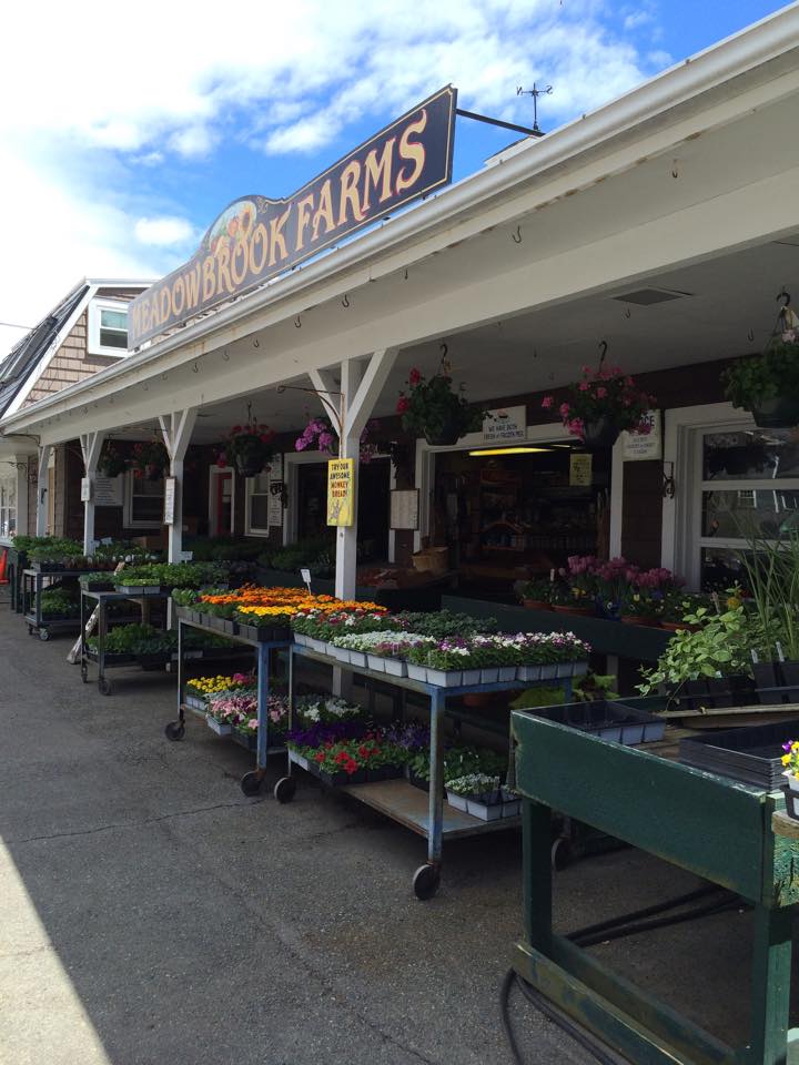 Meadowbrook Farms Ii at Ava Soul blog