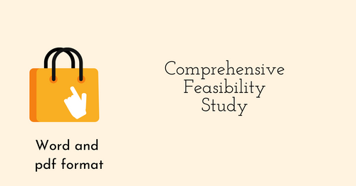 Comprehensive Feasibility Study | Funding Connection