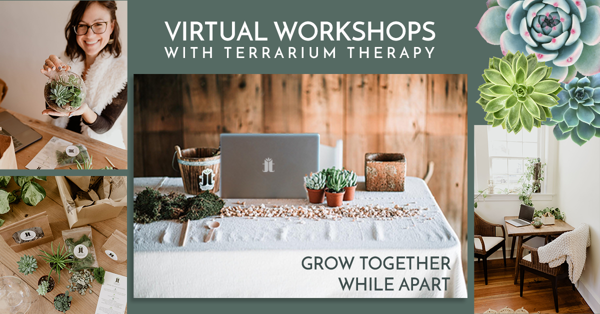 Private Virtual - with Finit | Terrarium Therapy