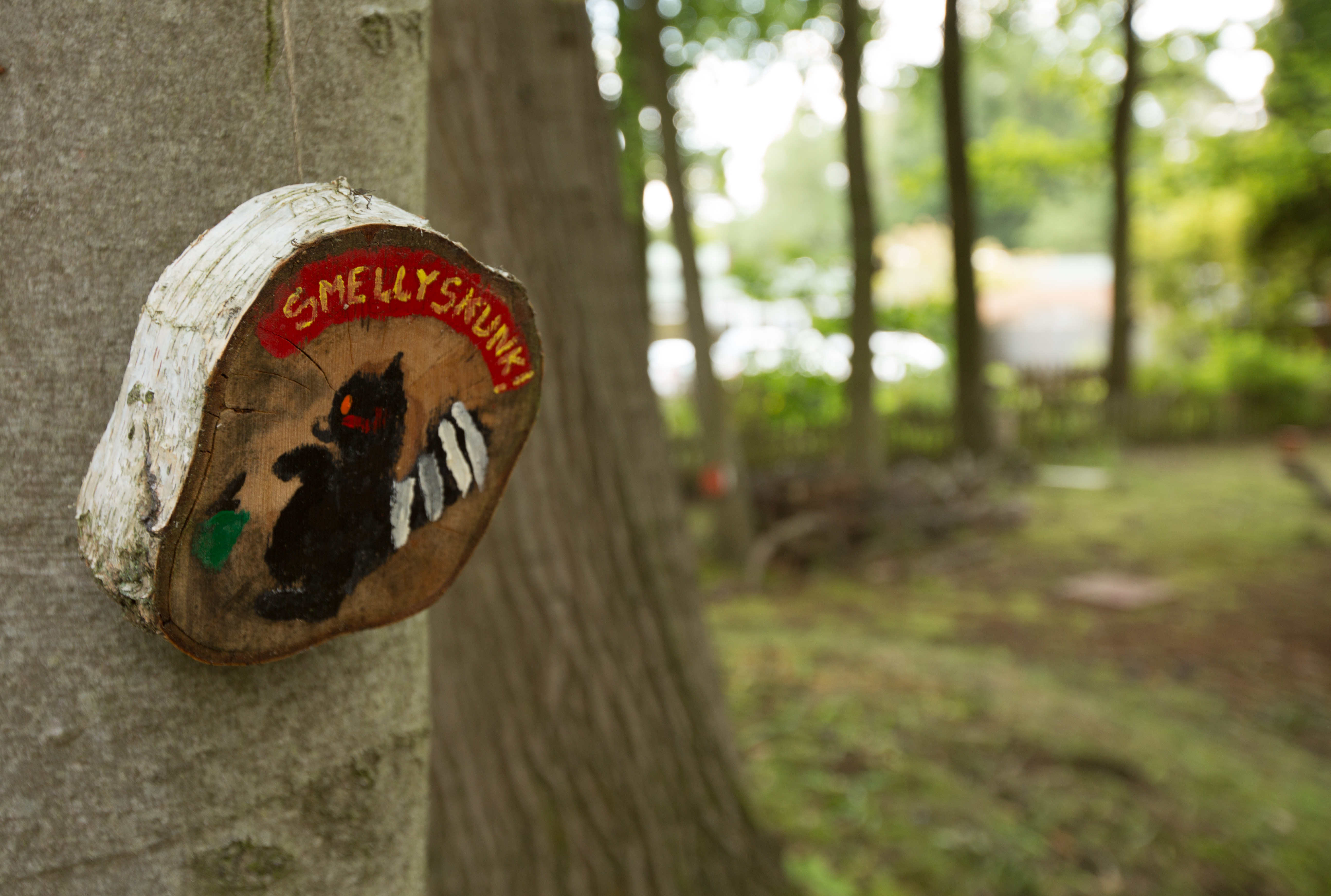 HOME | heather-ridge