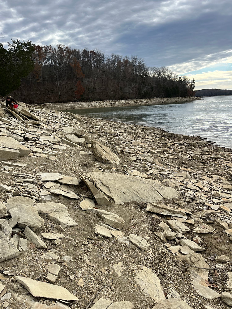 Mississippian Age Fossils in NW Alabama