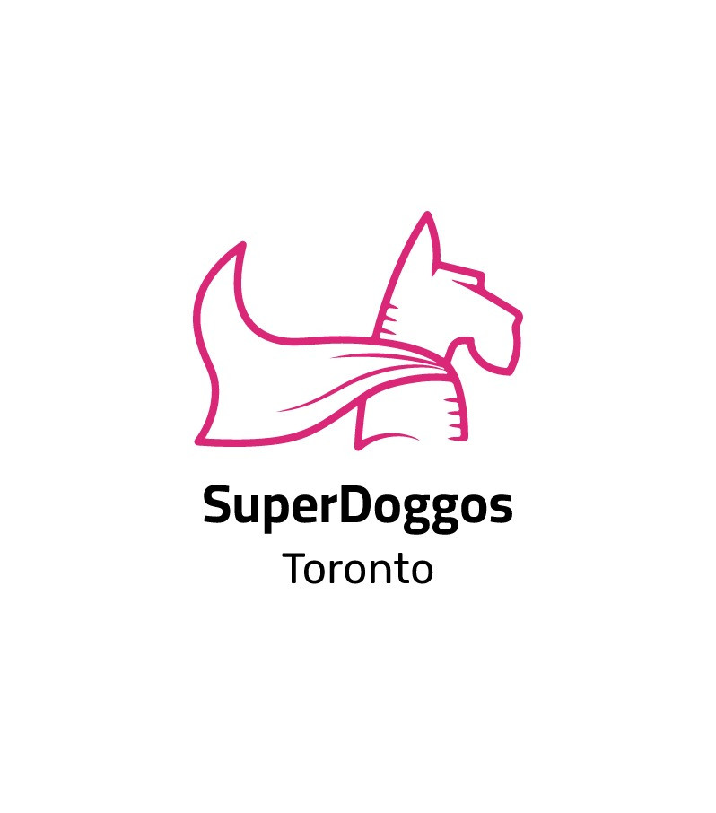 About | SuperDoggos Toronto Dog Daycare