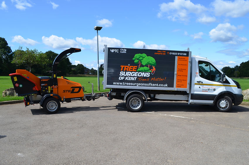 Commercial Tree Surgery | Tree Surgeons Of Kent | Maidstone