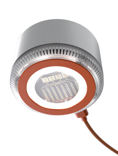 Puck | Quokka Quantum